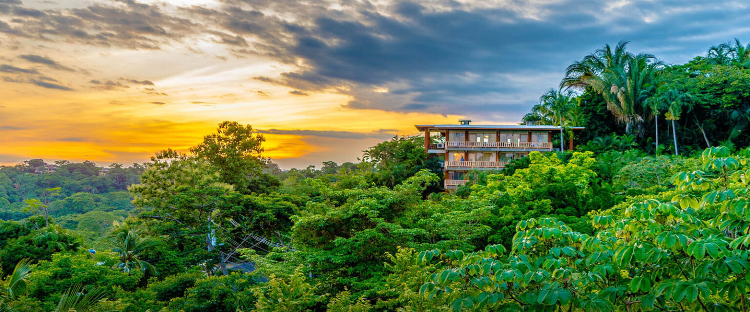 Hotel Costa Verde: A Unique Experience in the Jungle | LoveCostaRica.com